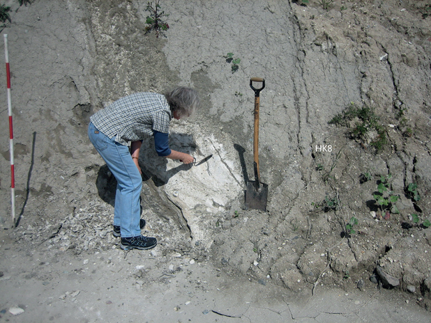 Kortbladsbeskrivelse, Geologisk kort over Danmark, 1:50 000, Møn Dele ...