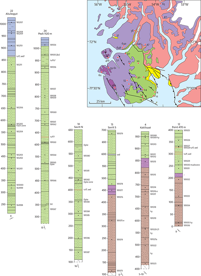 Lithostratigraphy, geology and geochemistry of the Tertiary volcanic ...