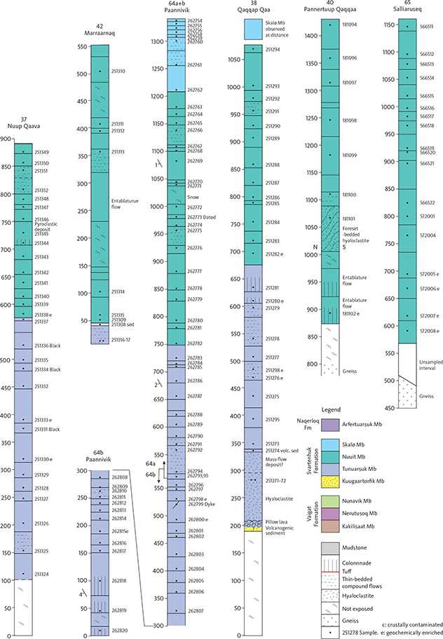 Lithostratigraphy, geology and geochemistry of the Tertiary volcanic ...