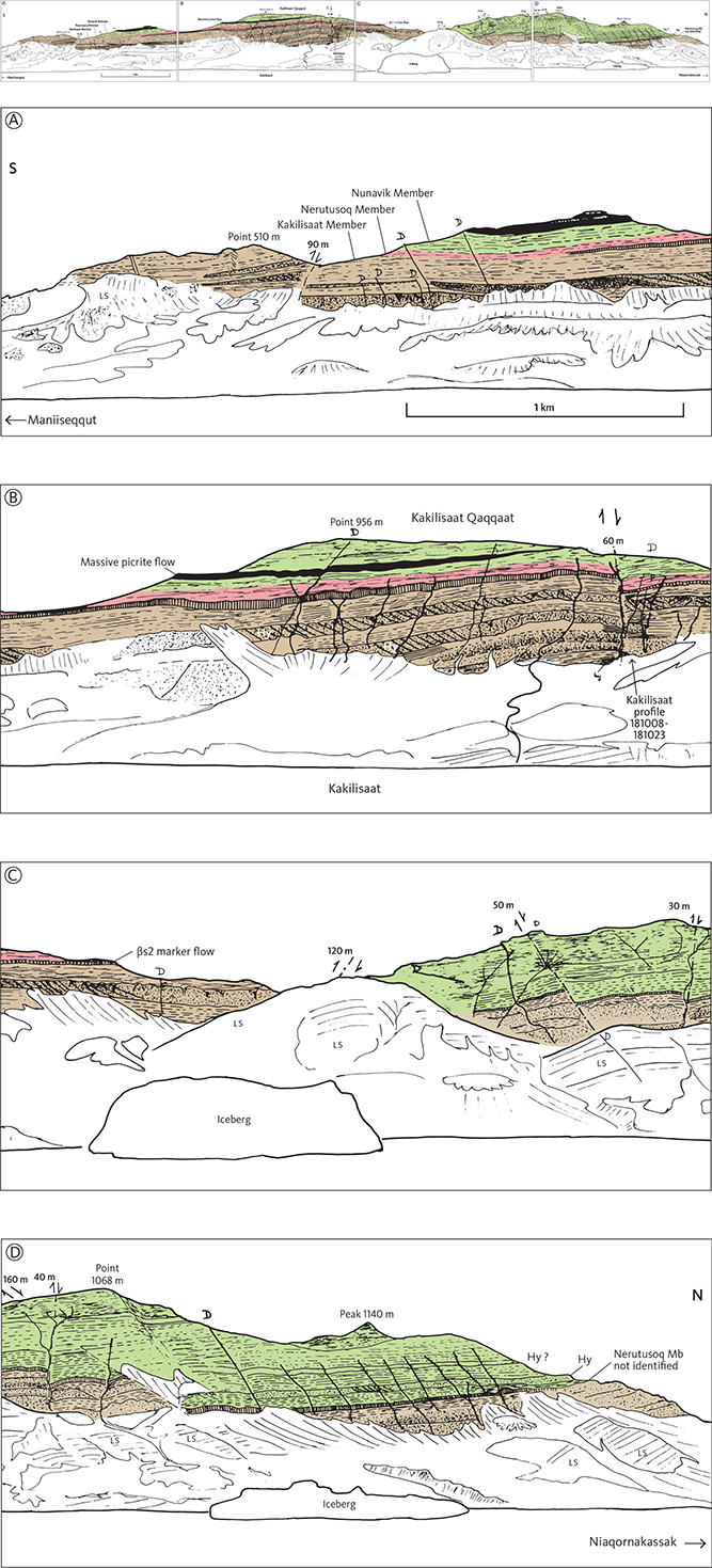 Lithostratigraphy, geology and geochemistry of the Tertiary volcanic ...