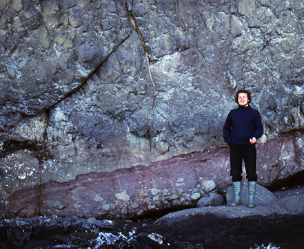 Lithostratigraphy, geology and geochemistry of the Tertiary volcanic ...