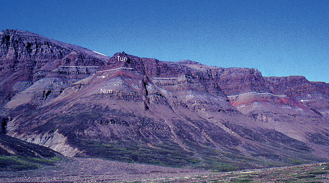 Lithostratigraphy, geology and geochemistry of the Tertiary volcanic ...