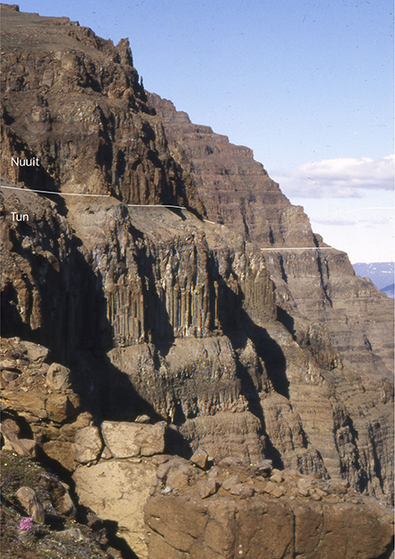 Lithostratigraphy, geology and geochemistry of the Tertiary volcanic ...