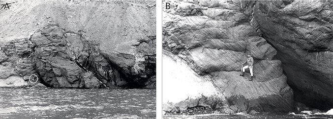Lithostratigraphy, geology and geochemistry of the Tertiary volcanic ...