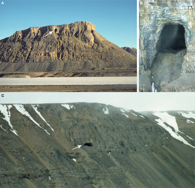 The karst and palaeokarst of North and North-East Greenland – physical ...